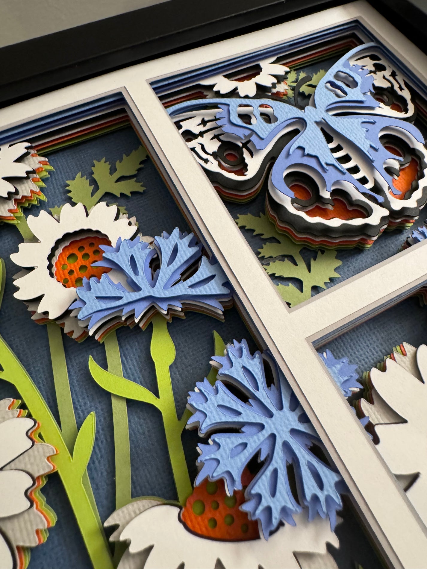 Butterfly 3 panel scene cornflower butterfly 3D paper art in a shadowb ...